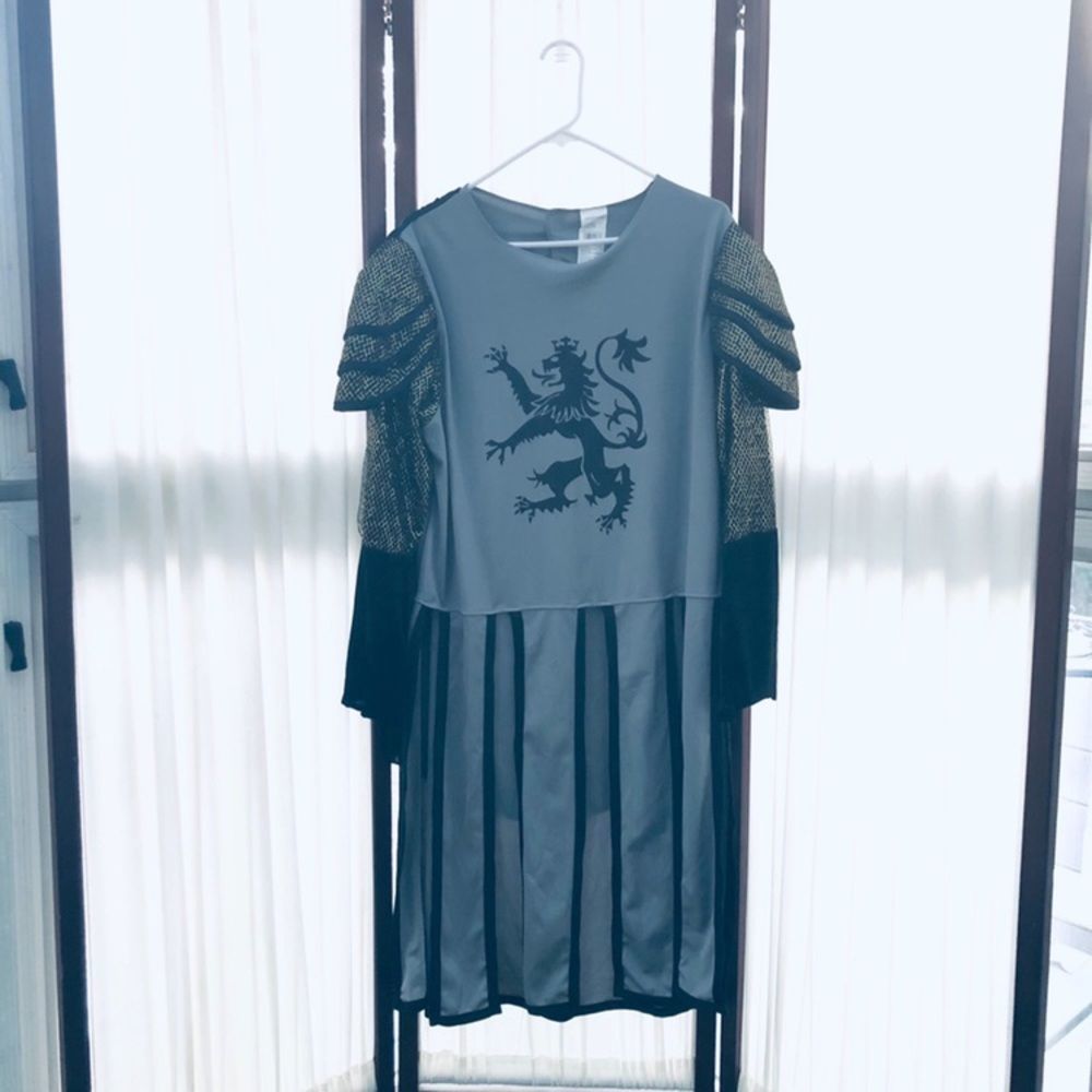 Medieval Royal Knight Costume Osfm - Gem